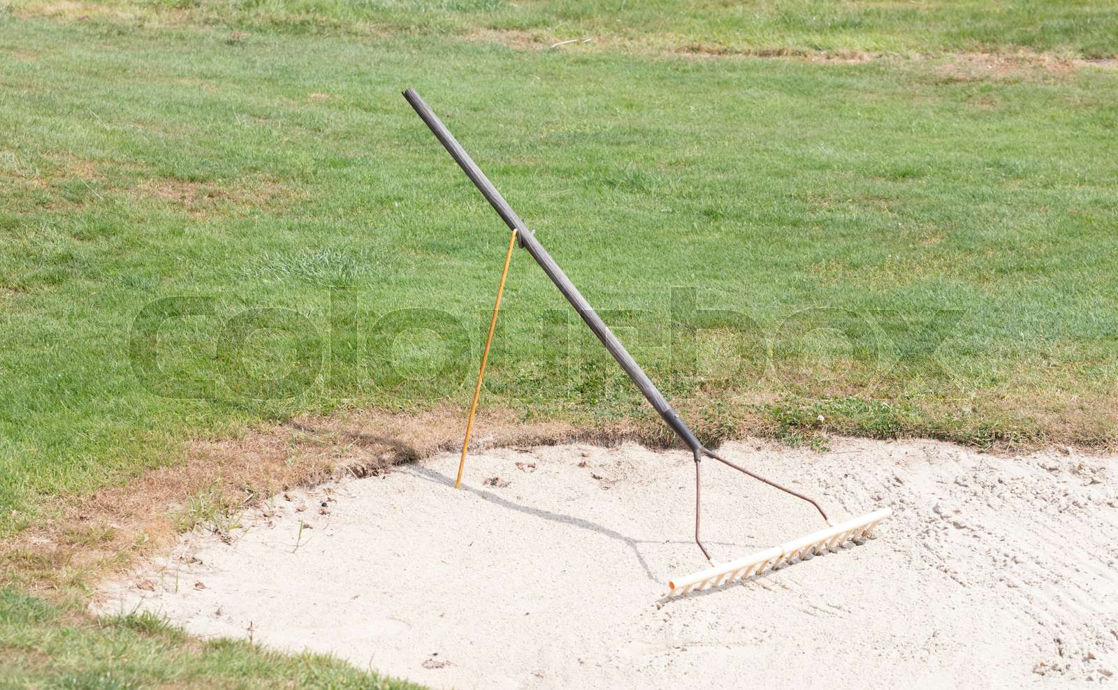 Golf: sand trap on the green grass | Stock image | Colourbox