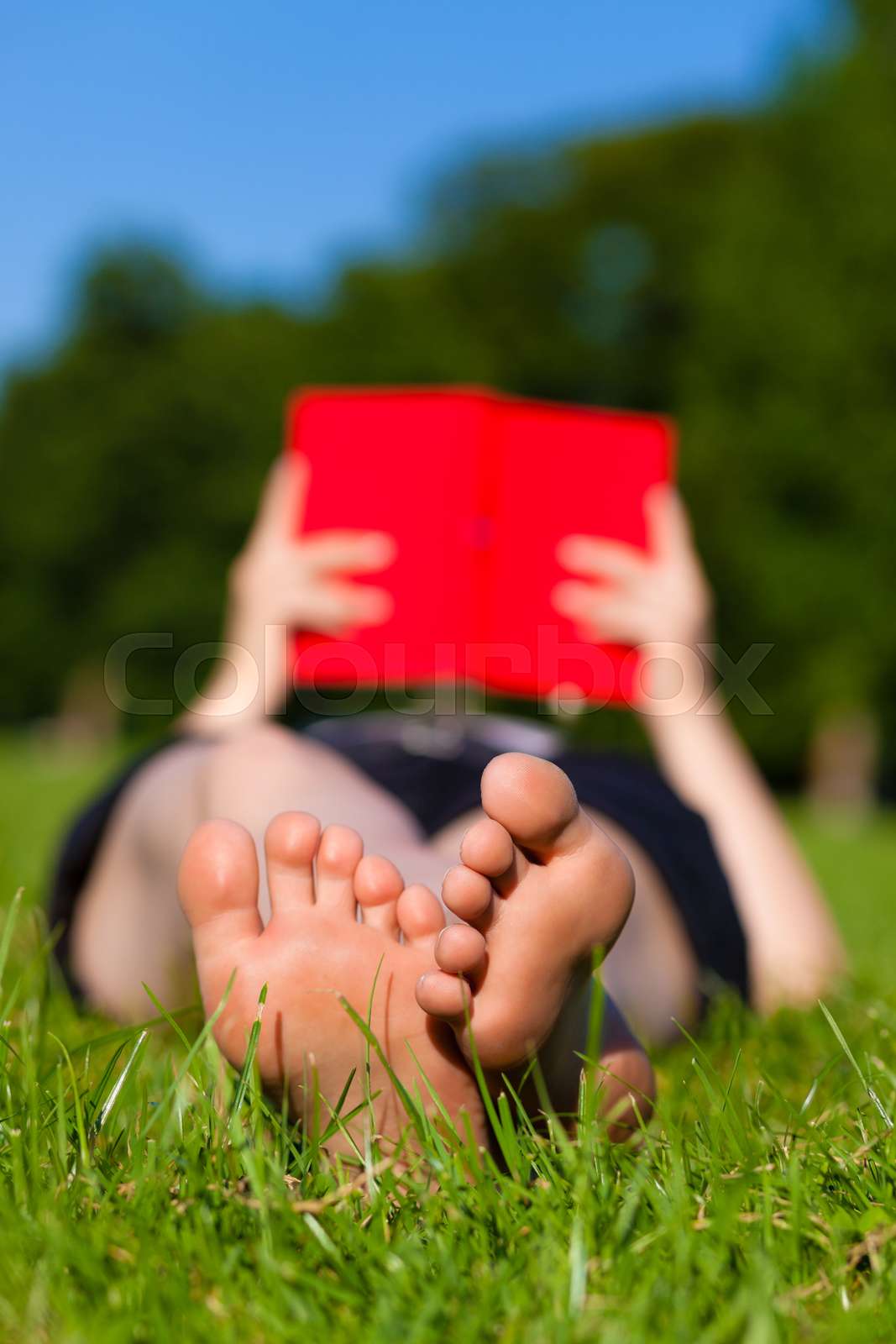 Woman feet while reading a book | Stock image | Colourbox