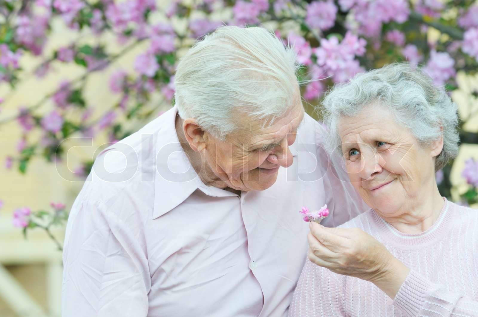 glückliche Paar alte Leute auf Frühling Hintergrund | Stock Bild ...