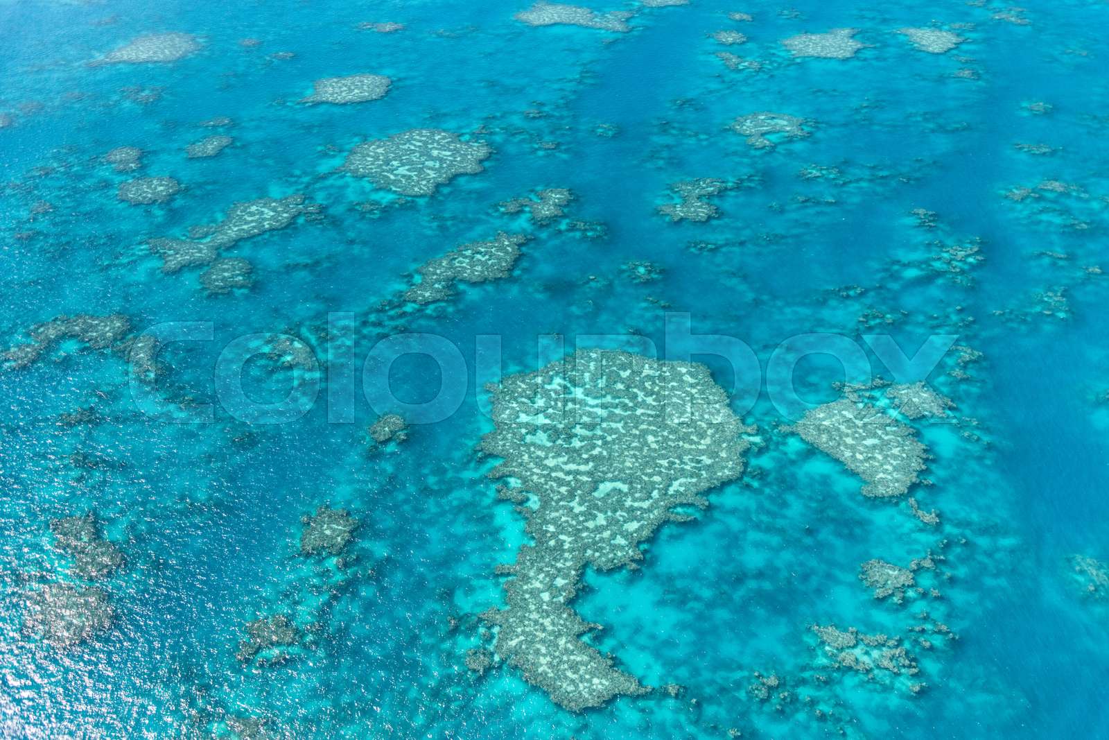 Aerial view of Coral Reef, Australia | Stock image | Colourbox