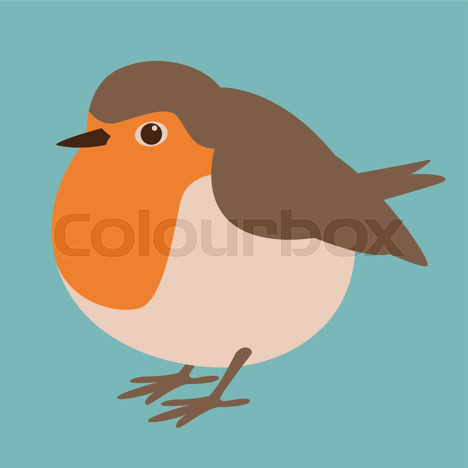 bird robin | Stock vector | Colourbox