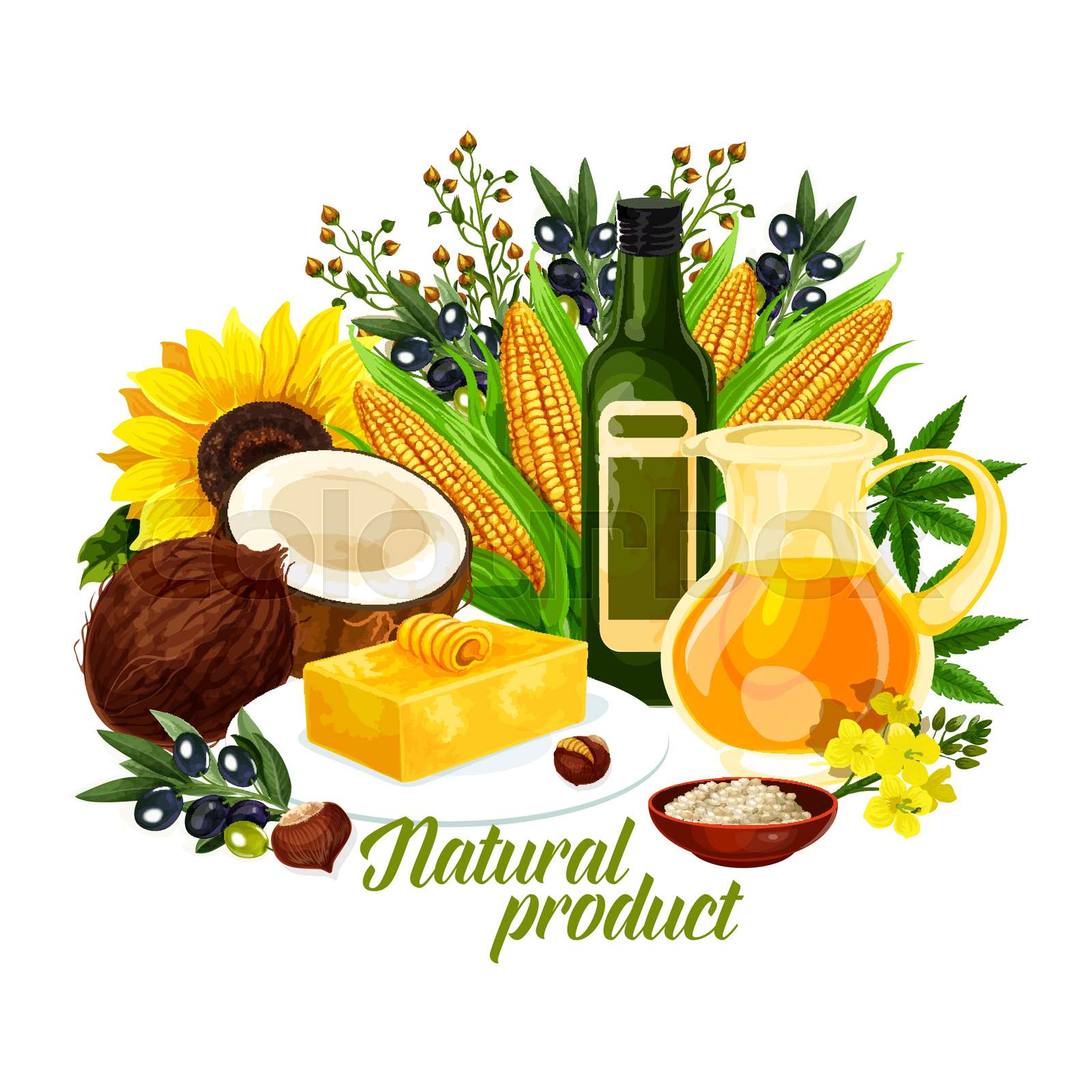 Natural vegetable oil, healthy food and cooking | Stock vector | Colourbox