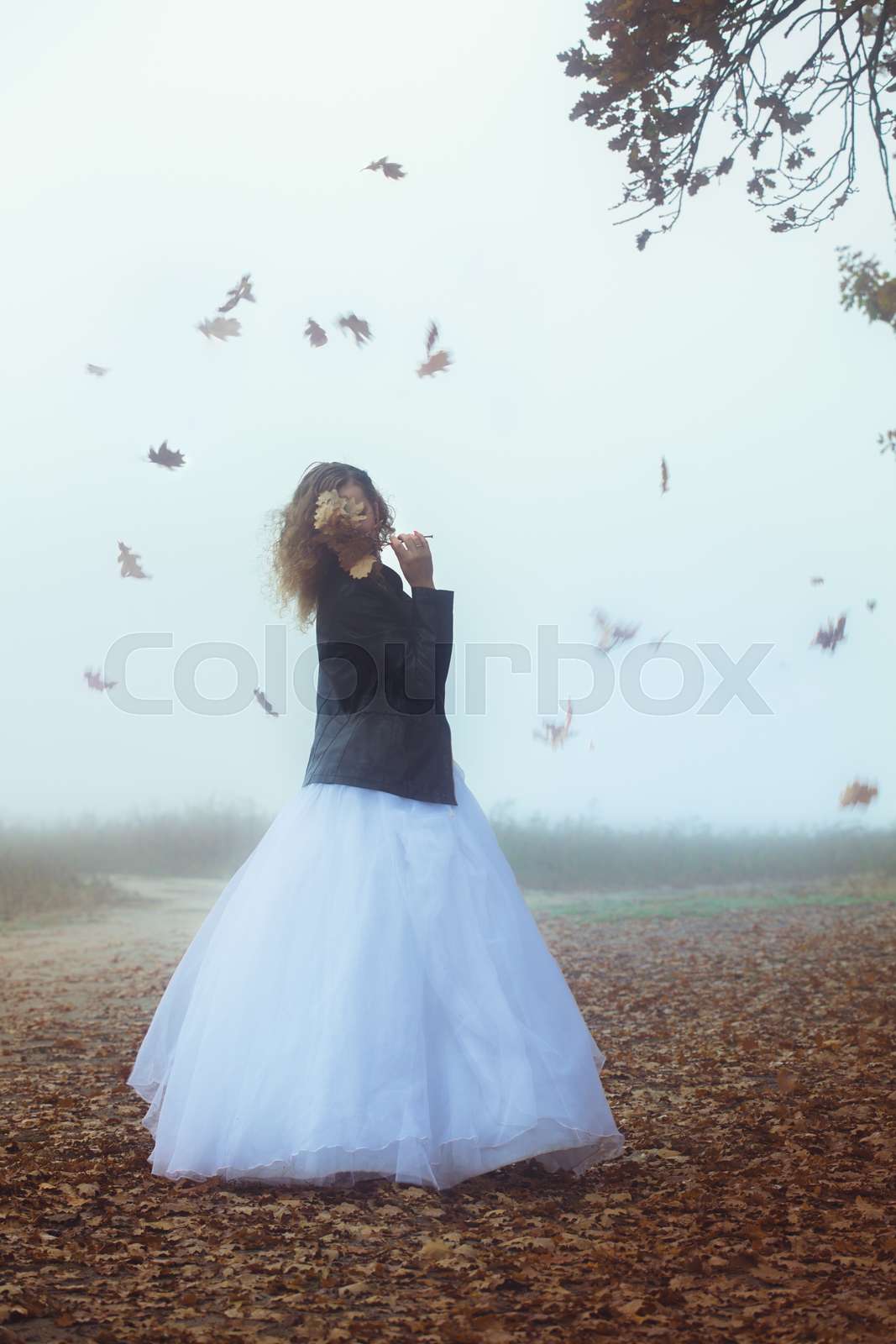 the bride covered her face | Stock image | Colourbox