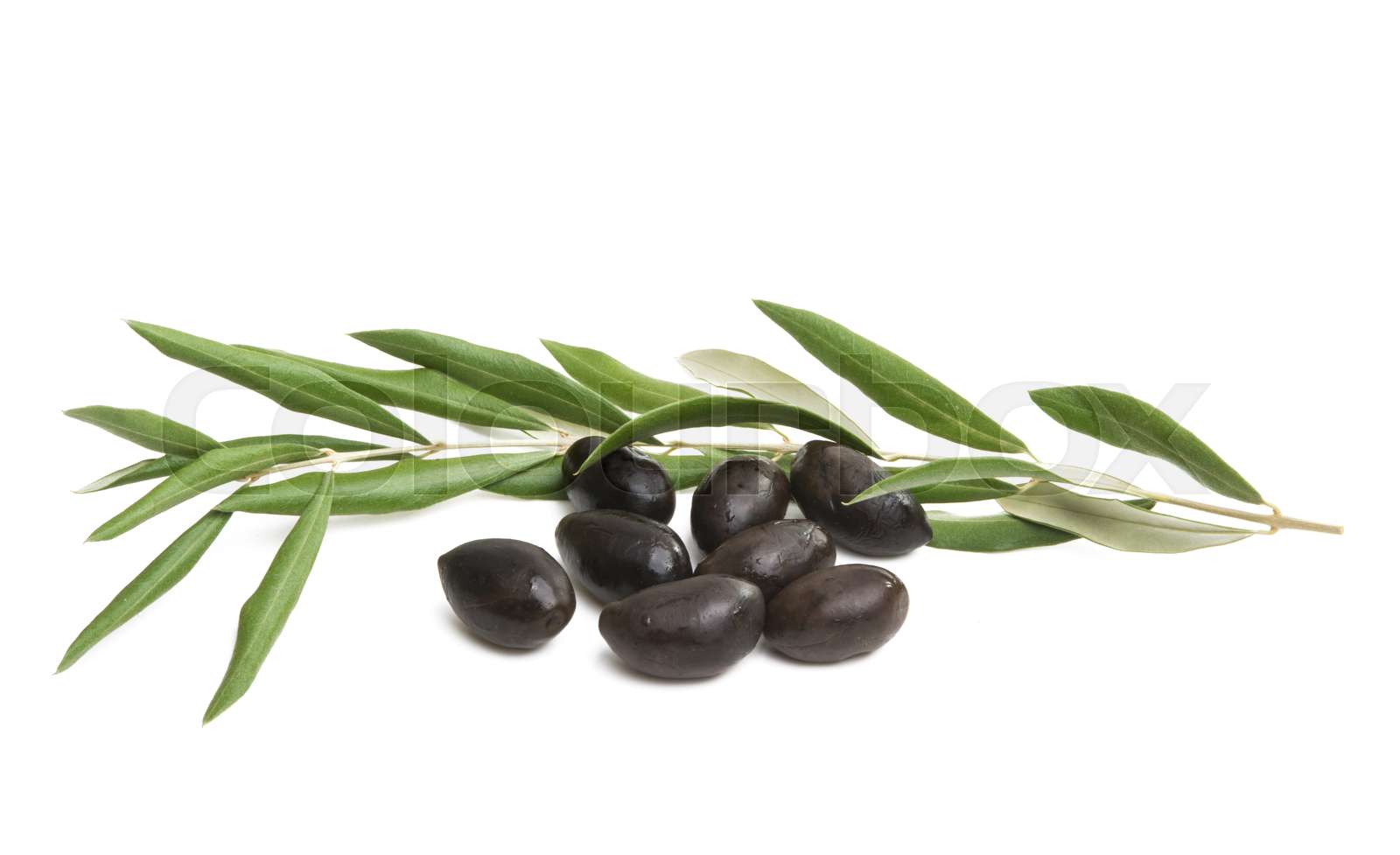 large olives isolated | Stock image | Colourbox