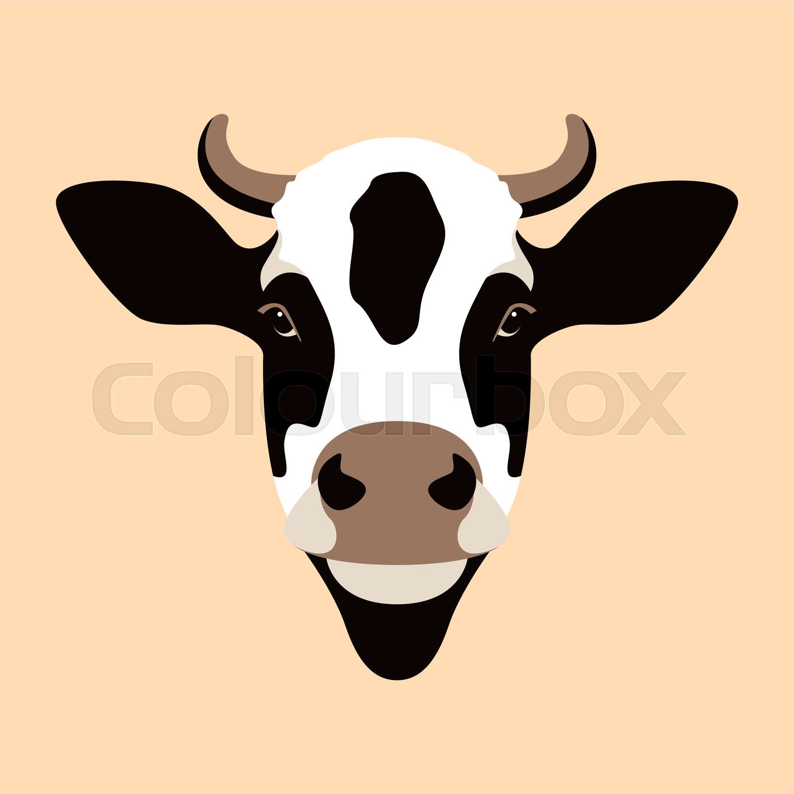 cow face vector | Stock vector | Colourbox