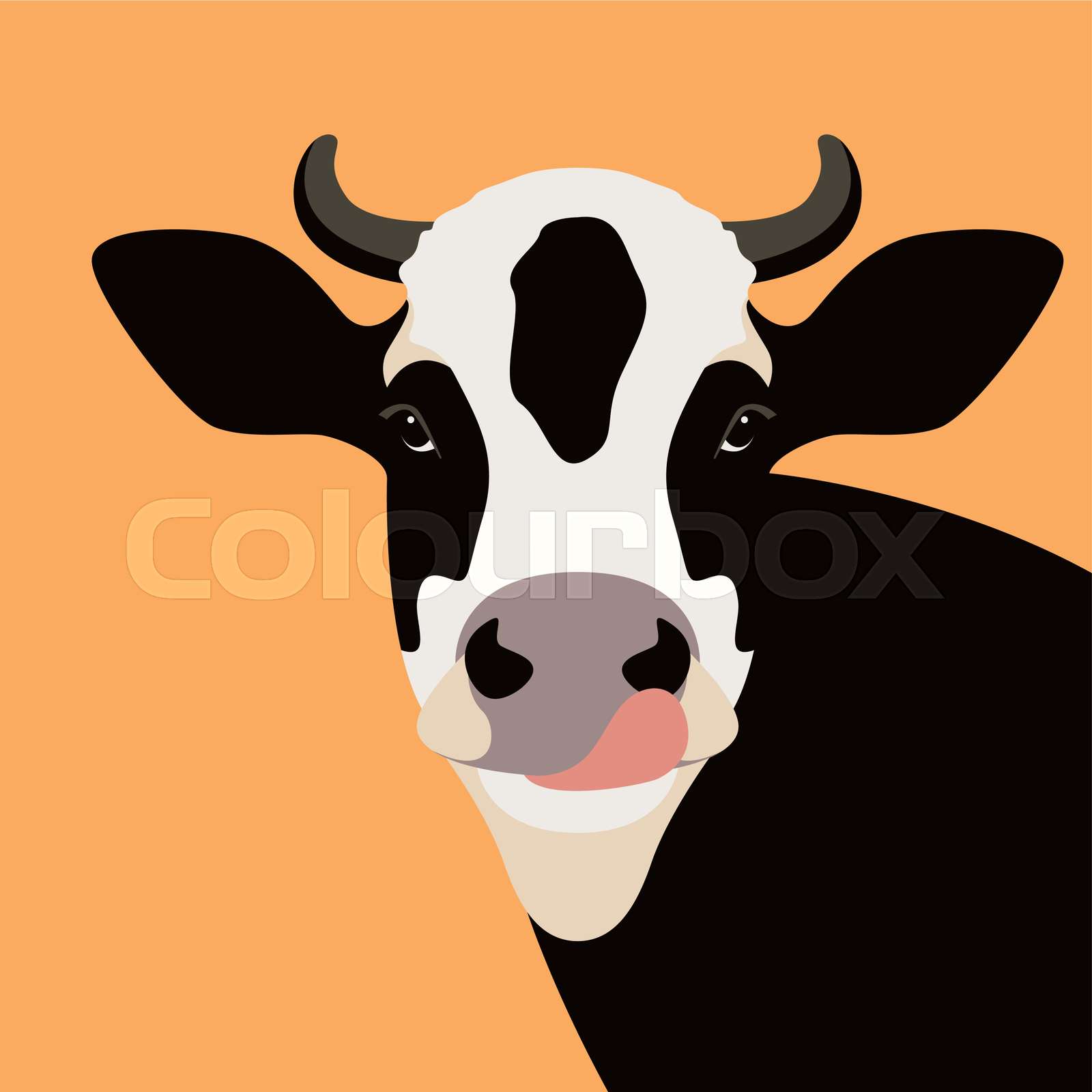 cow face | Stock vector | Colourbox