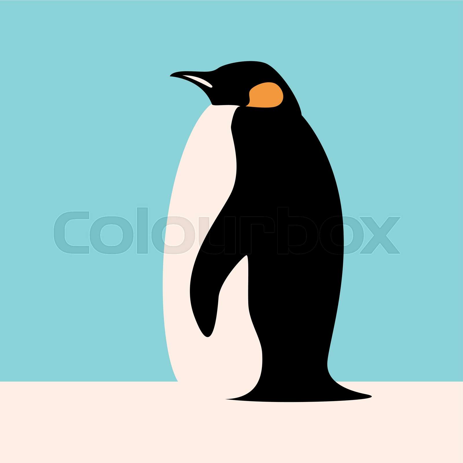 penguin vector | Stock vector | Colourbox