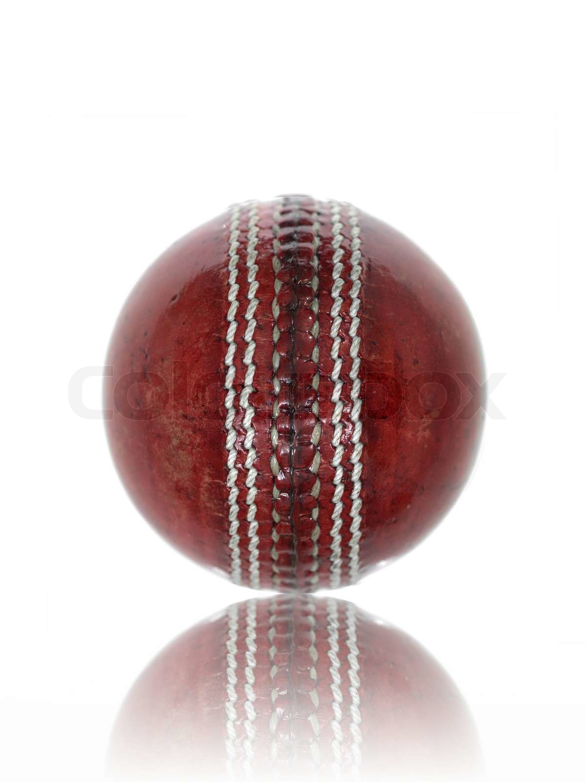 Cricket | Stock image | Colourbox
