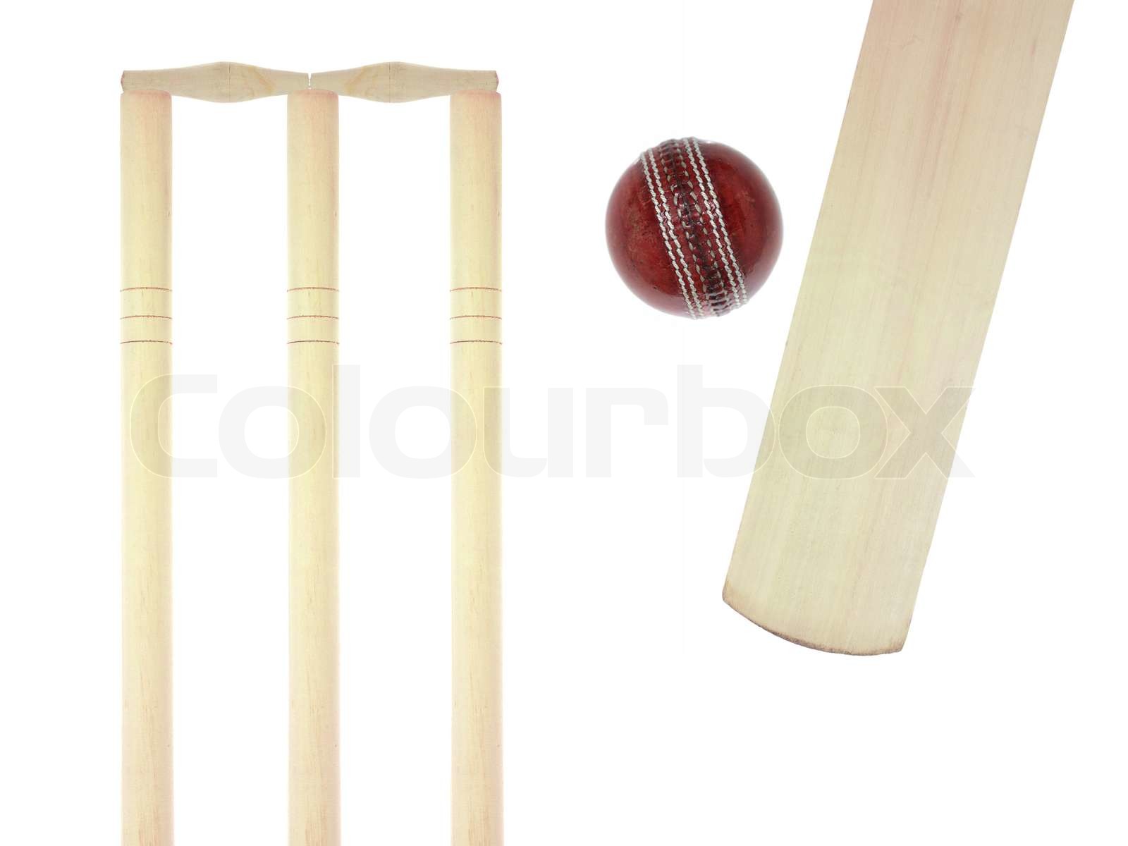 Cricket | Stock foto | Colourbox