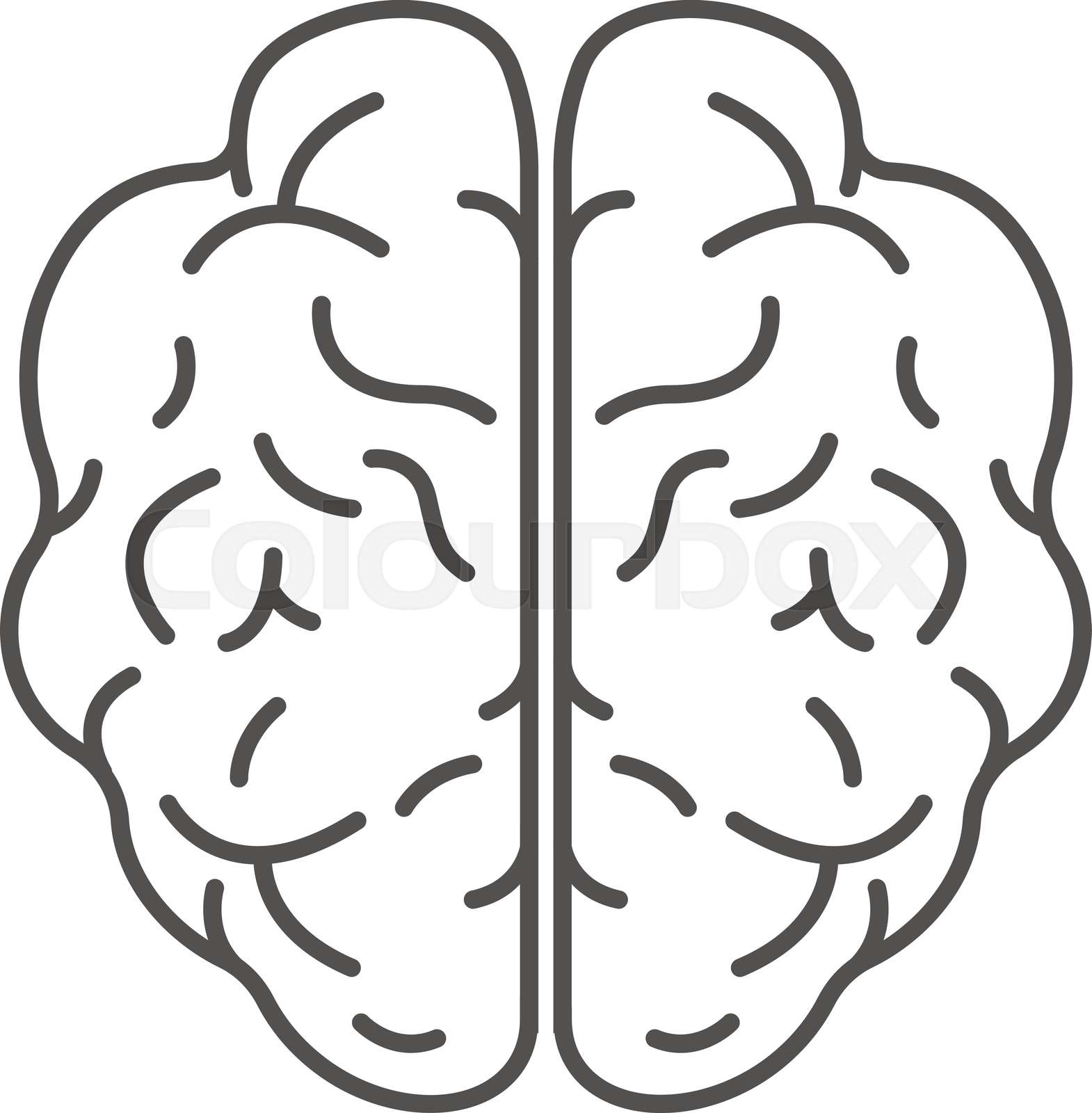 Top view brain icon, outline style | Stock vector | Colourbox
