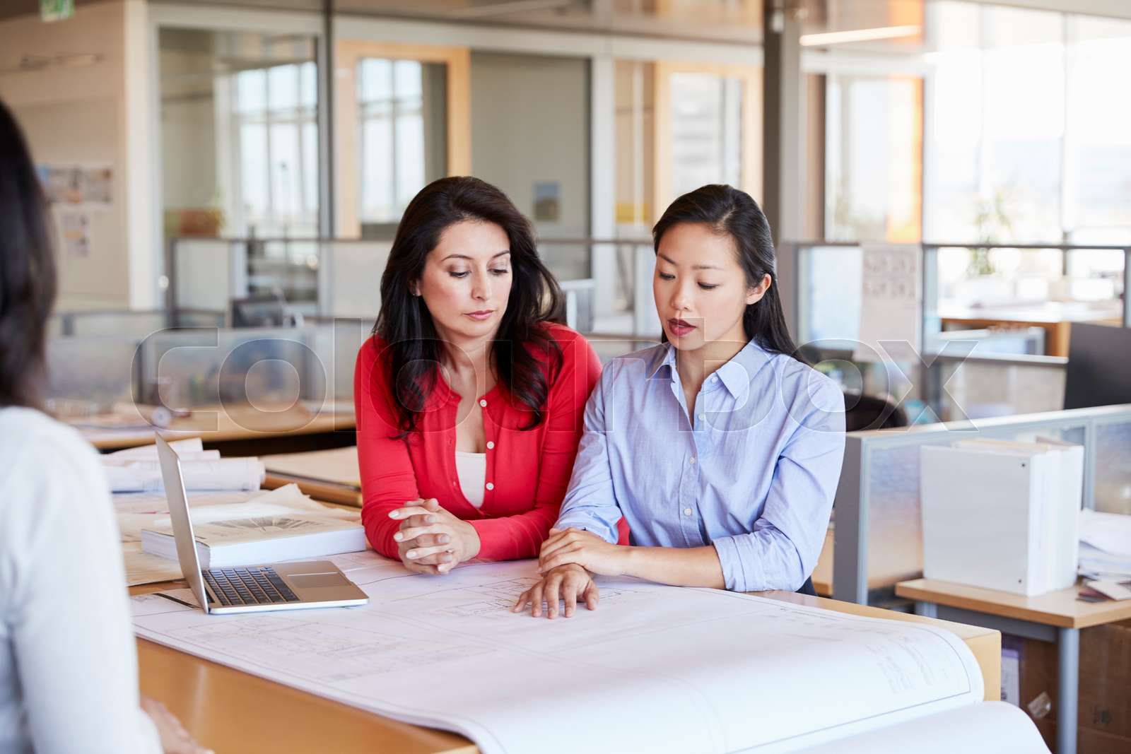 Two female architects studying plans together at work | Stock image | Colourbox