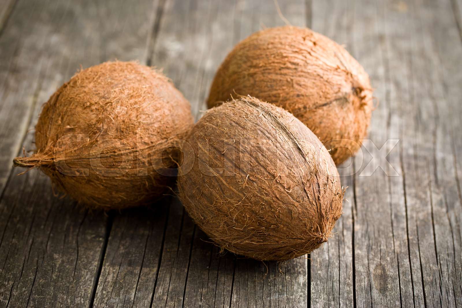 whole coconuts | Stock image | Colourbox