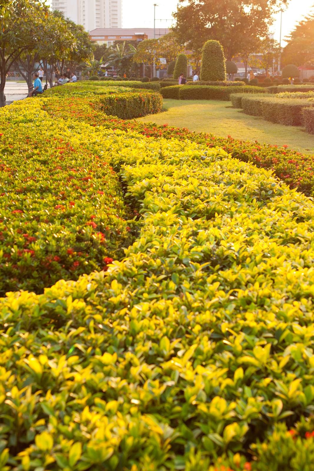 Baum Rasen im Park | Stock Bild | Colourbox