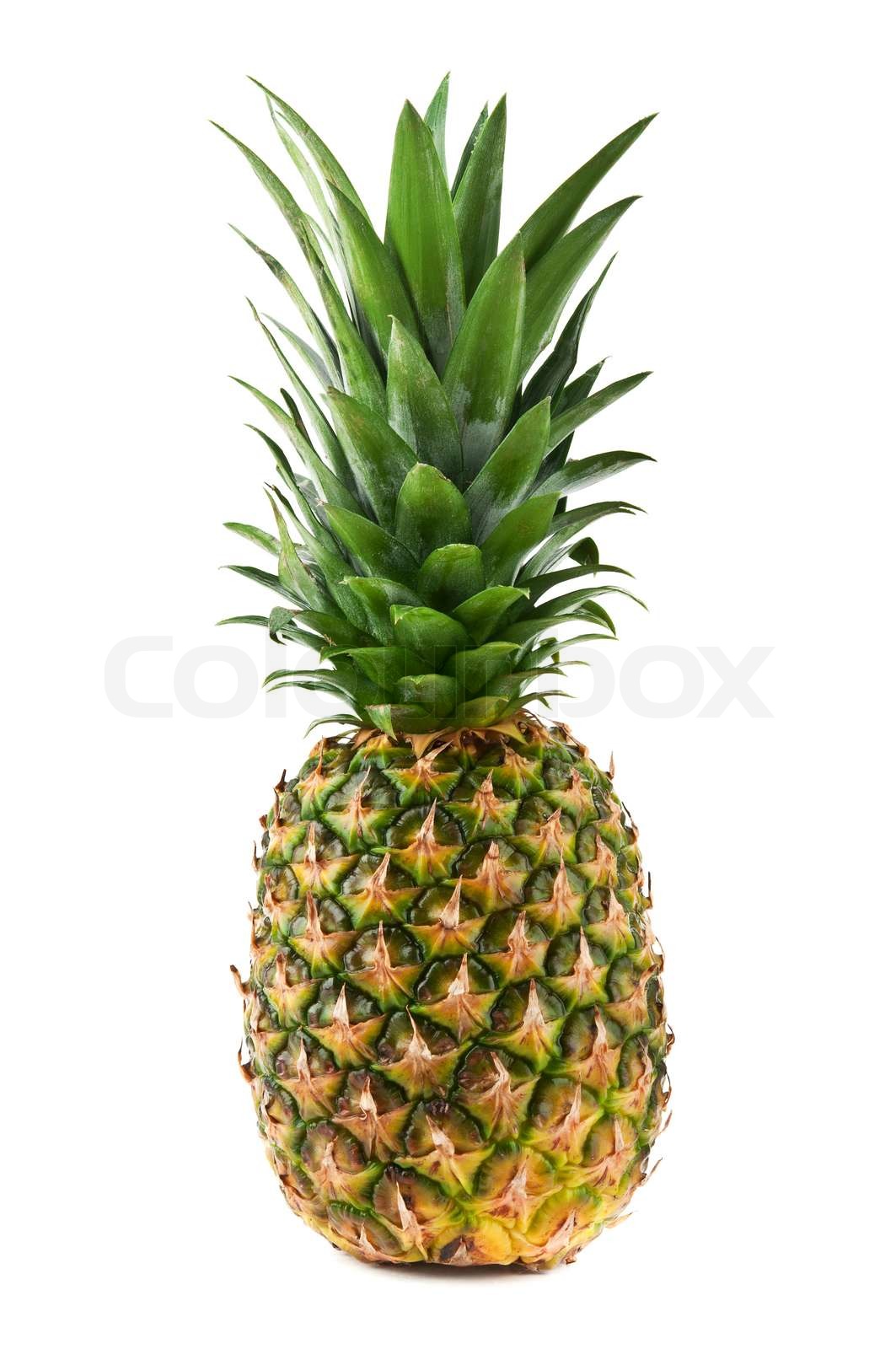 frische Ananas | Stock Bild | Colourbox