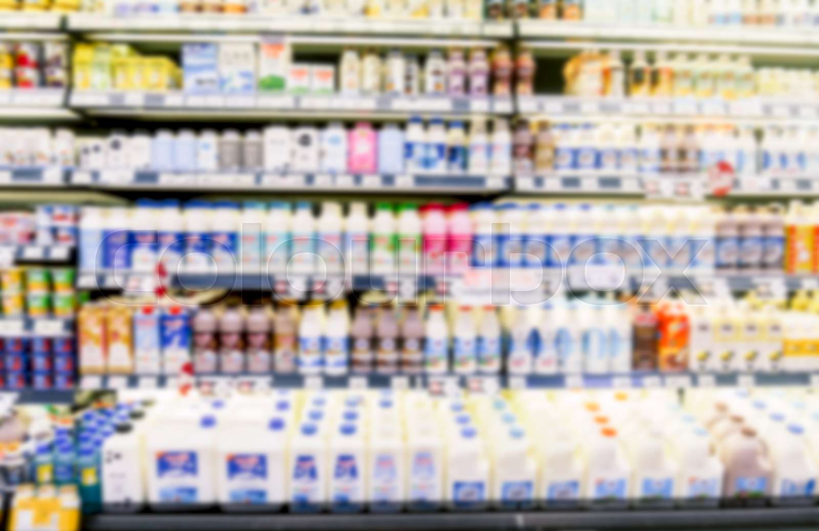 Defocused blur of Row of fresh milk bottles on fridge shelf in ...