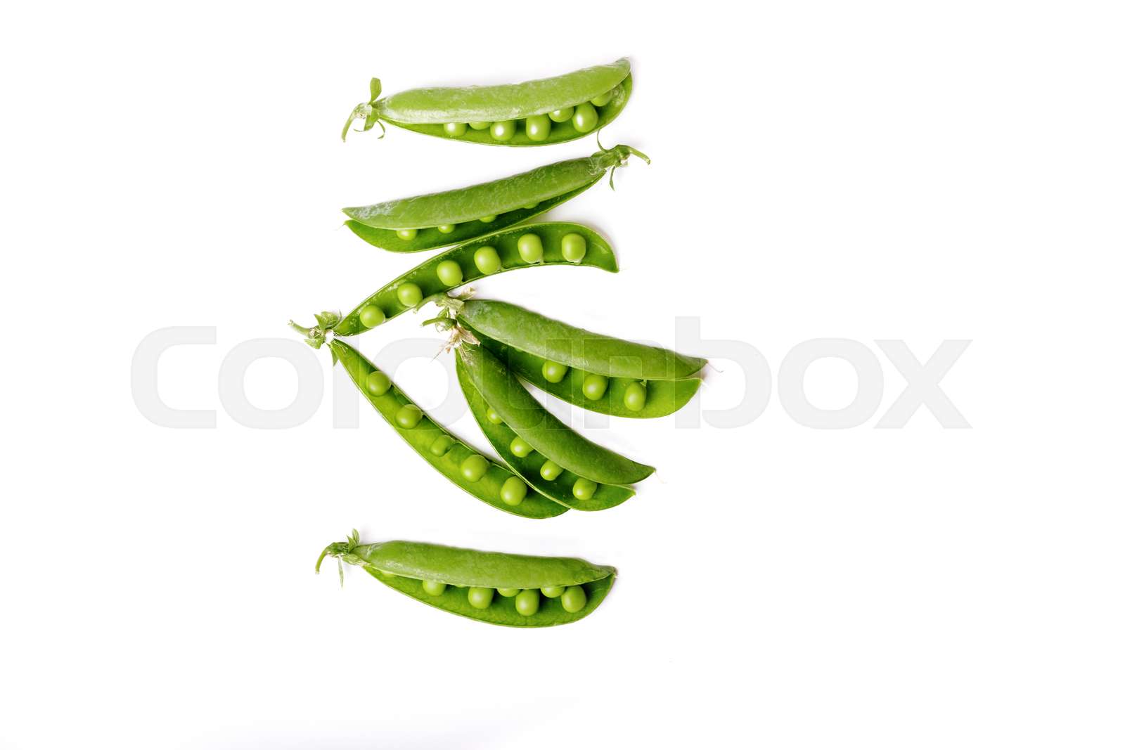 Single Green Pea