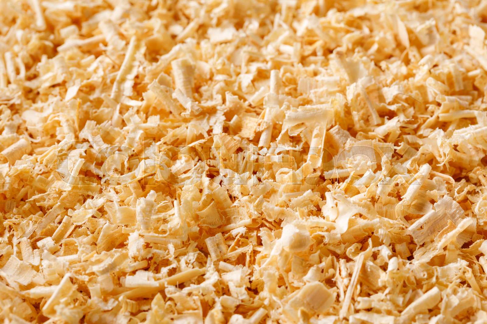 Saw dust texture | Stock image | Colourbox