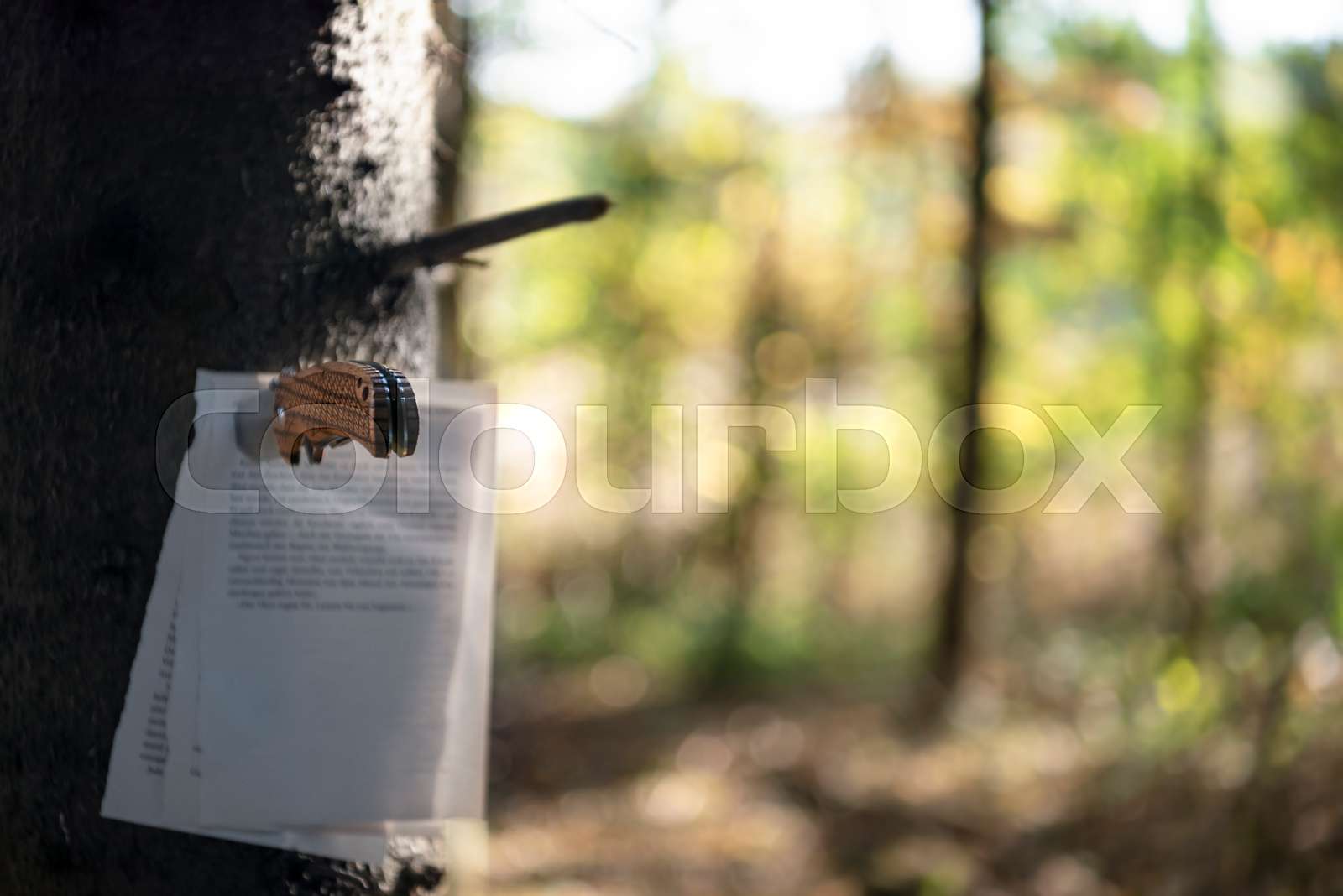 Dagger stuck into pages on a tree | Stock image | Colourbox