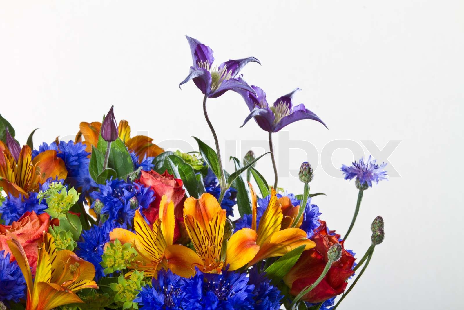 Flowers | Stock Bild | Colourbox