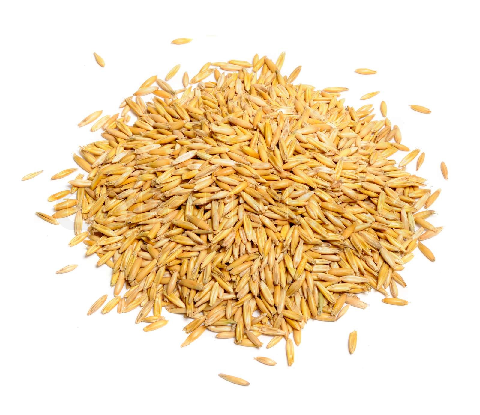Whole Unpeeled Oats Isolated on White Background | Stock image | Colourbox