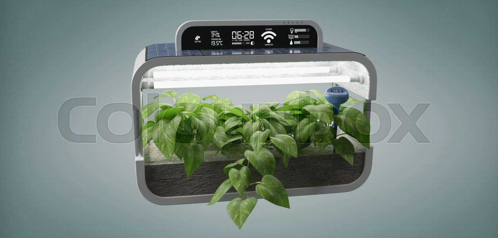 Digital vegetal plant connected | Stock image | Colourbox