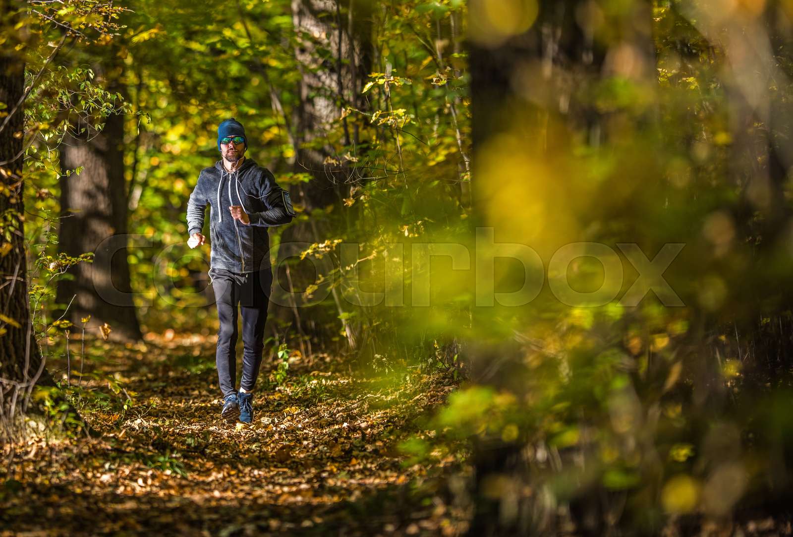 Outdoor Forest Running | Stock image | Colourbox