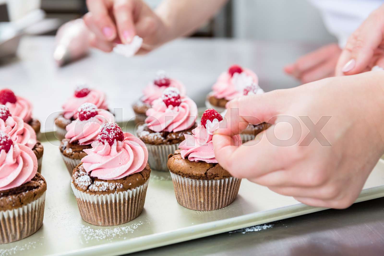 Women in pastry bakery working on muffins | Stock image | Colourbox