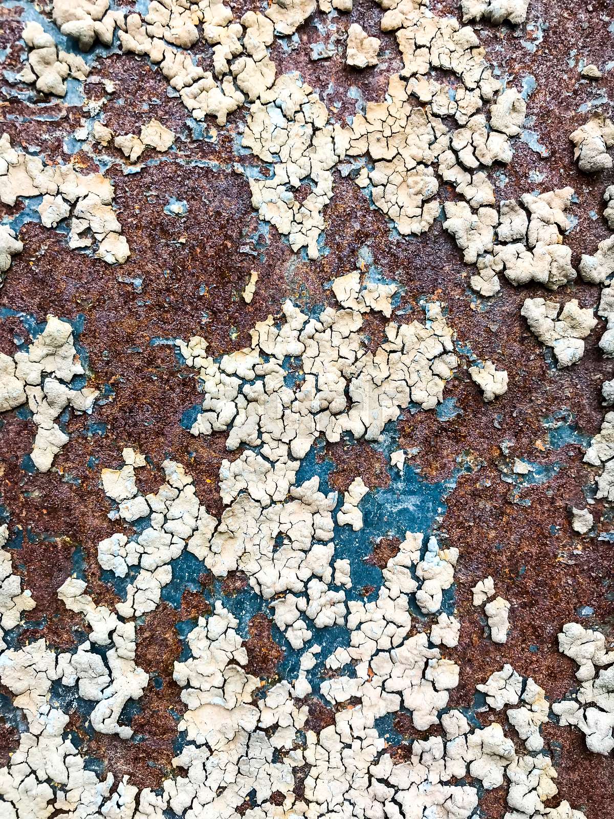 Corrosion on painted metal | Stock image | Colourbox