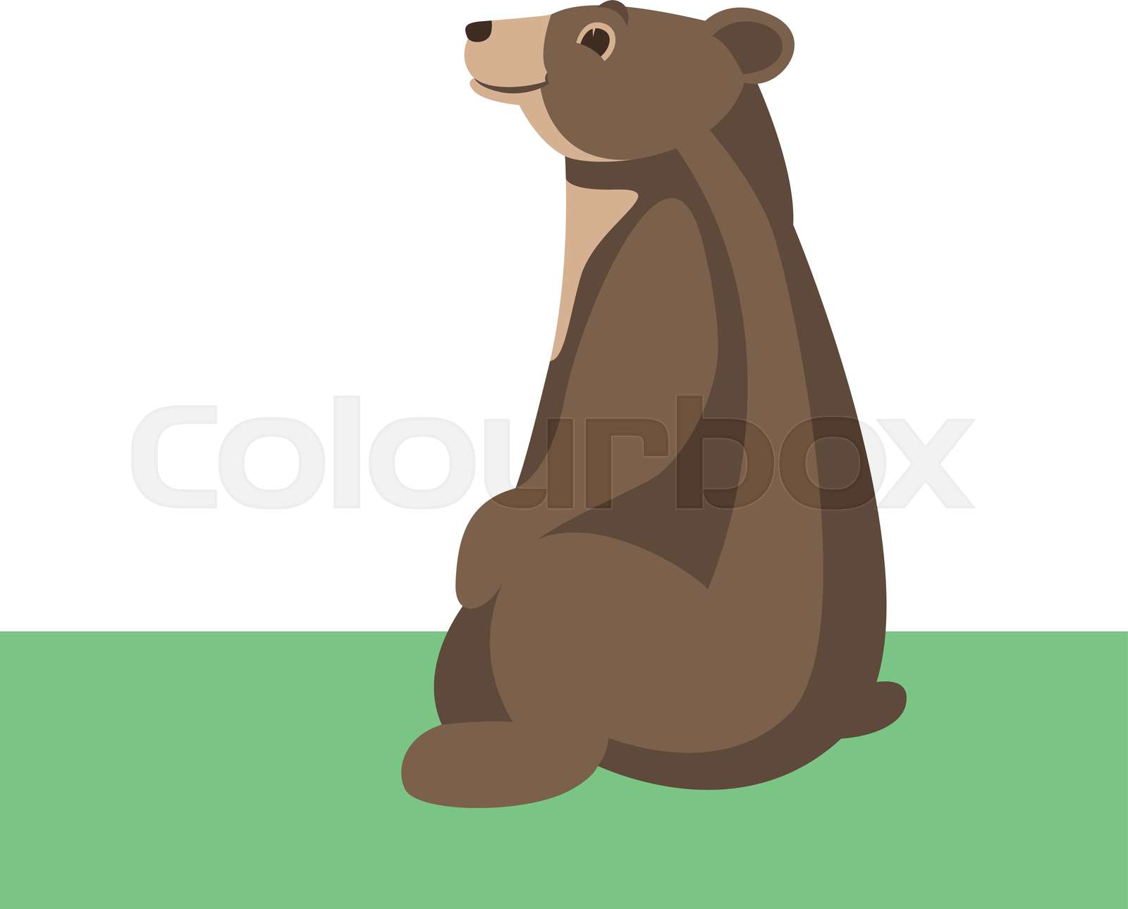 cartoon bear vector illustration flat style profile | Stock vector ...