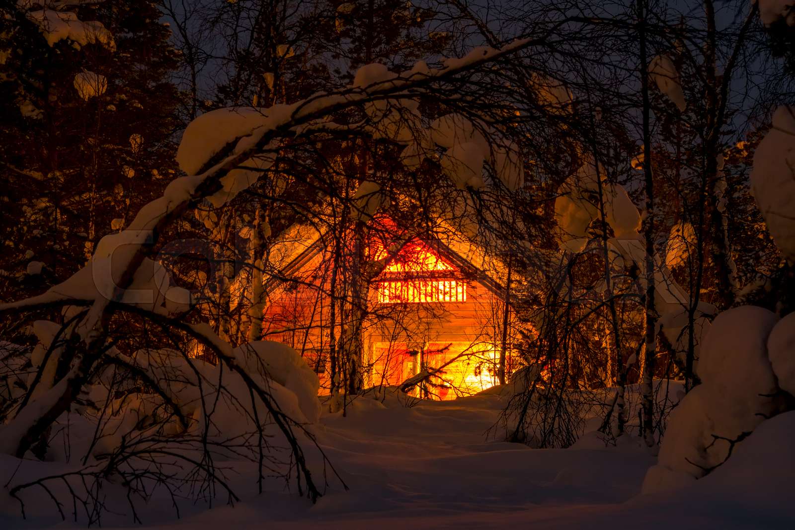 Lighted Wooden House in the Night Winter Forest | Stock image | Colourbox