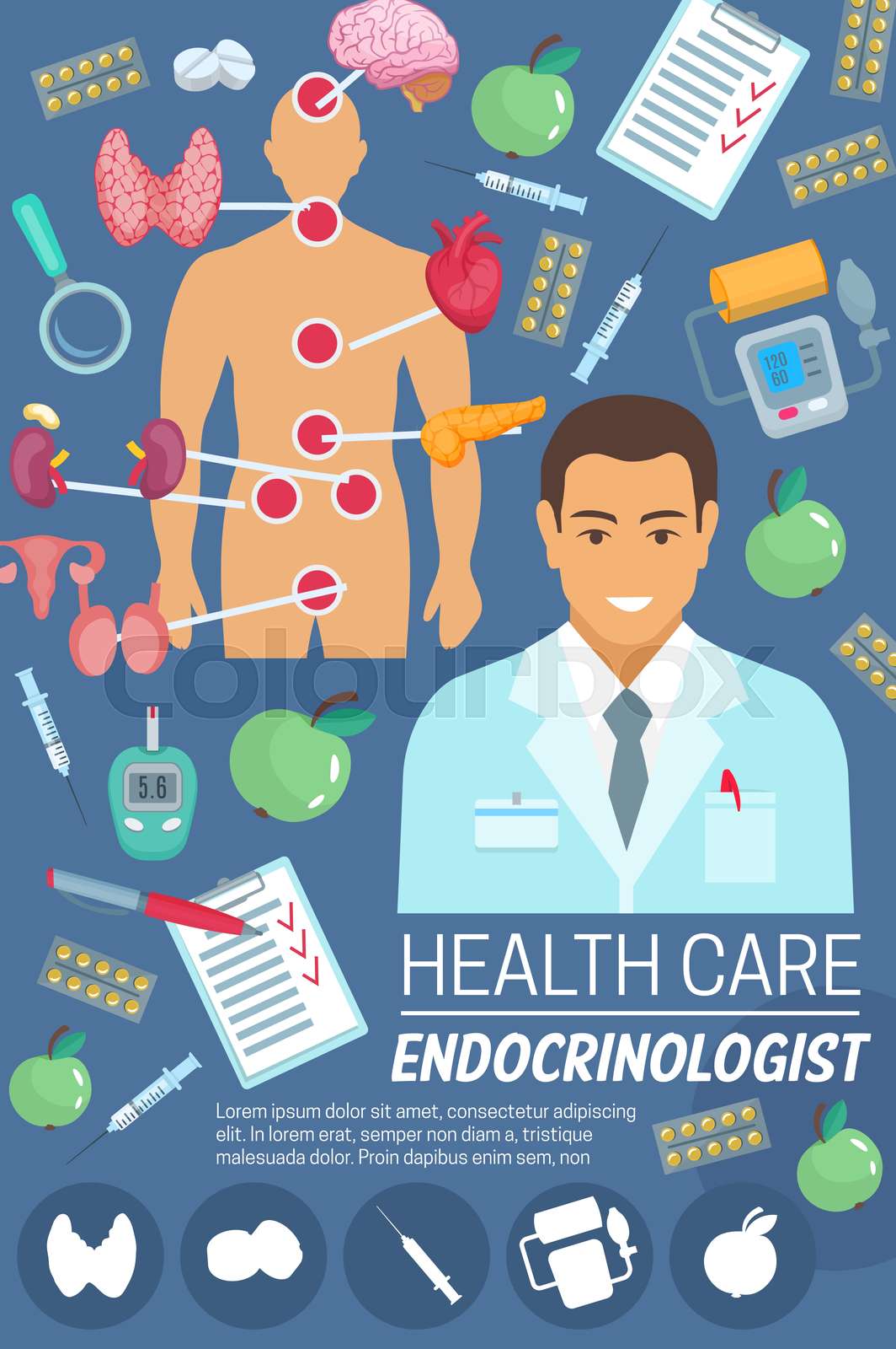 Endocrinologist doctor with endocrine system organ | Stock vector ...