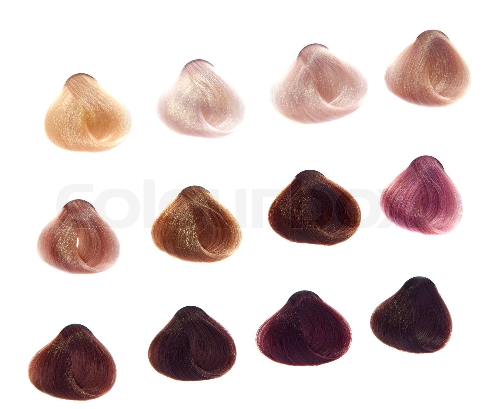 hair samples | Stock image | Colourbox