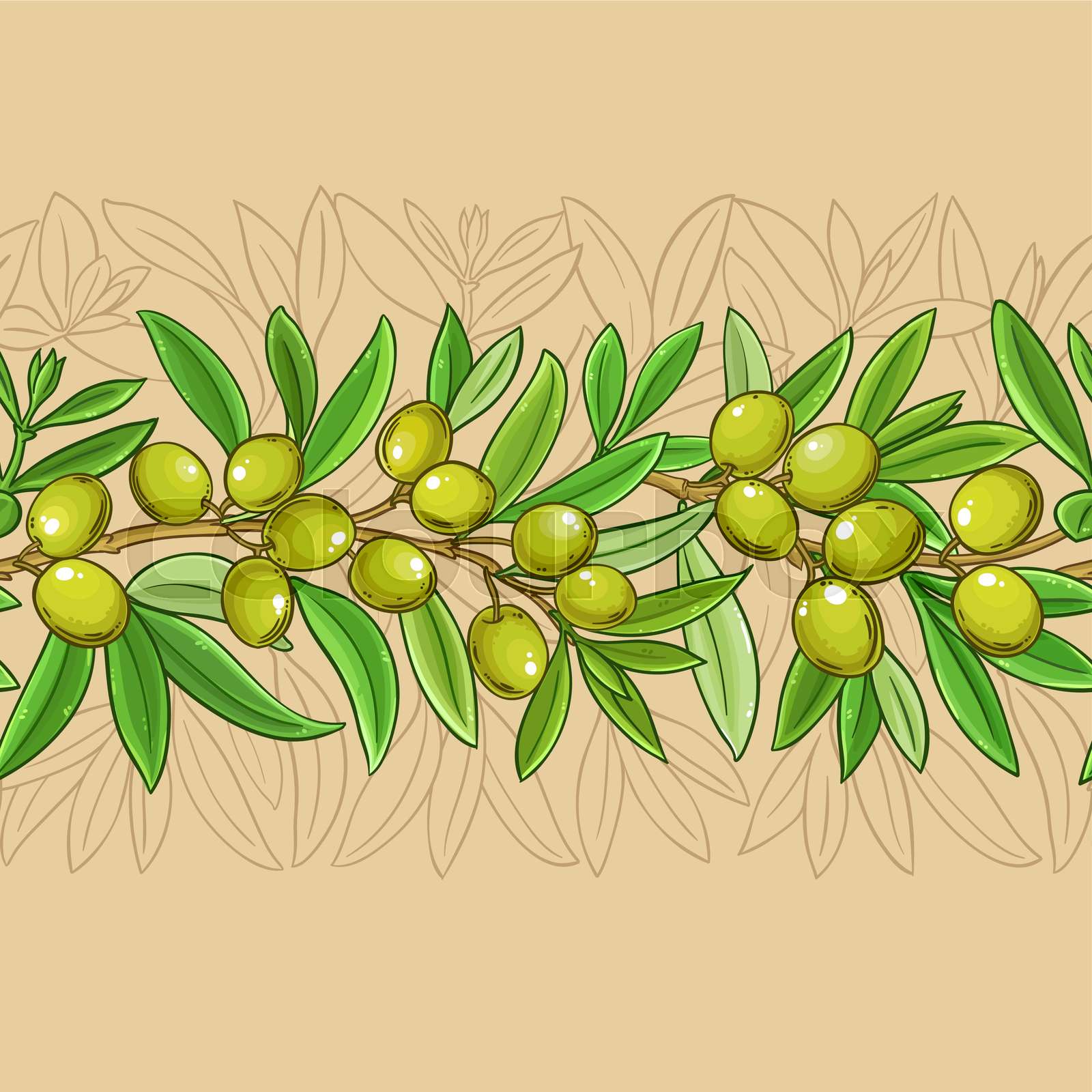 olive vector pattern | Stock vector | Colourbox