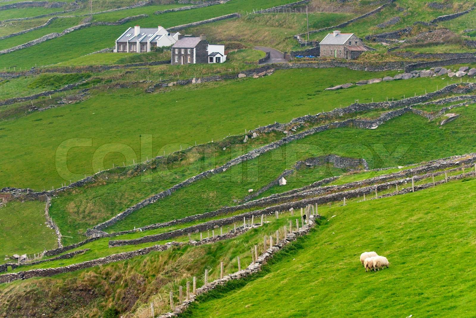 Irish countryside | Stock image | Colourbox