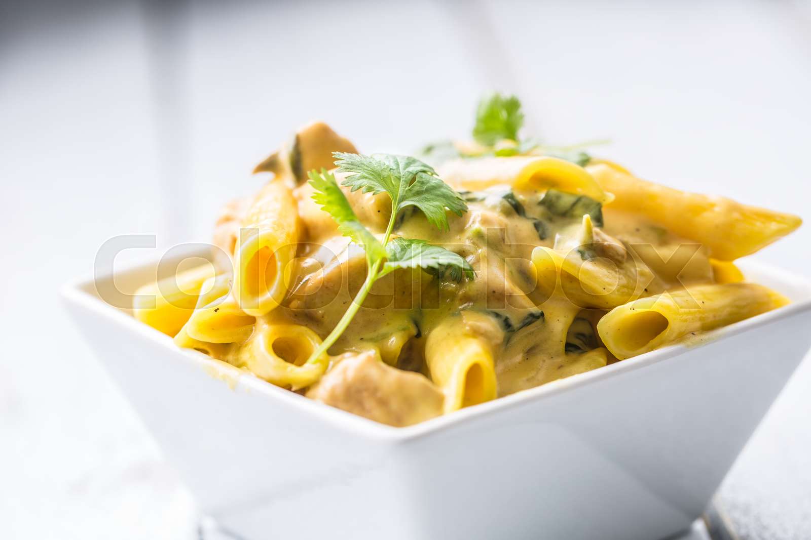 Pasta pene with chicken pieces mushrooms parmesan cheese sauce and herb ...