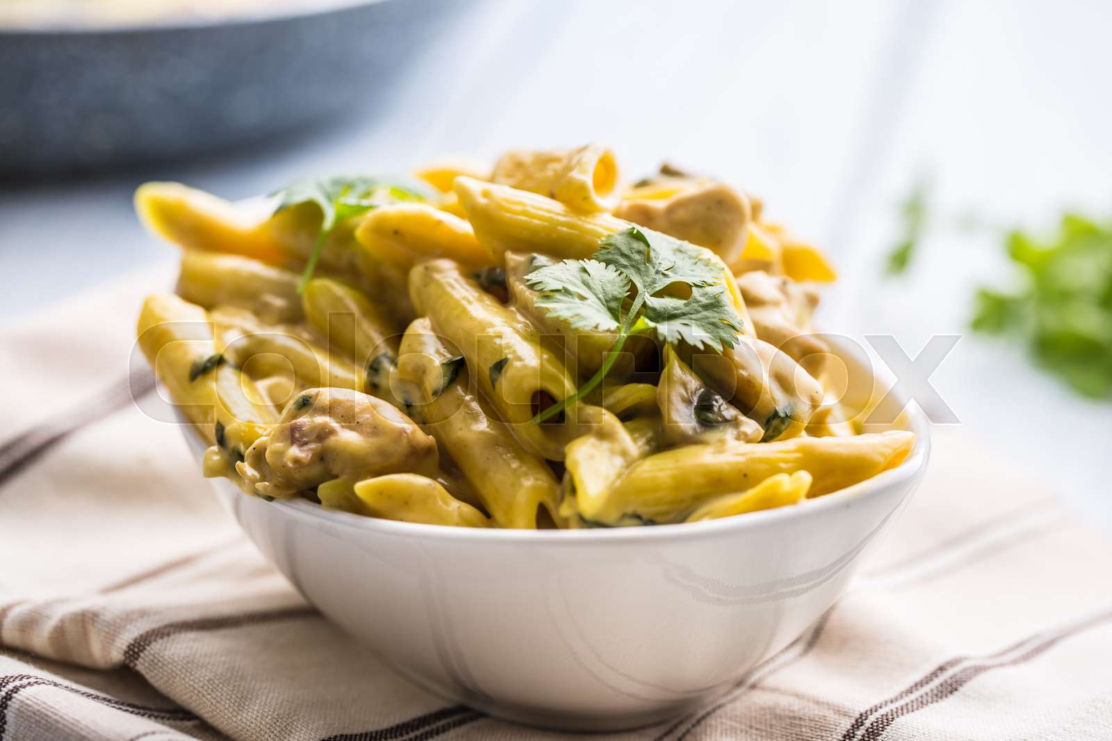 Pasta pene with chicken pieces mushrooms parmesan cheese sauce and herb ...