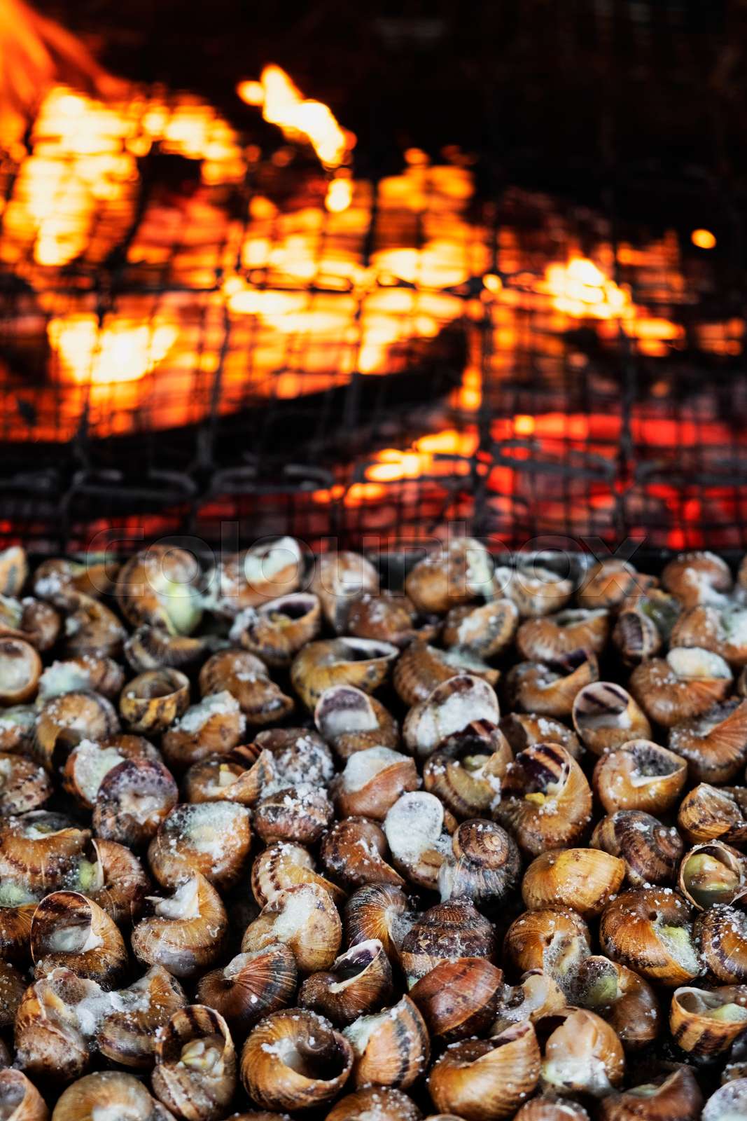 caragols a la llauna, catalan recipe of snails | Stock image | Colourbox
