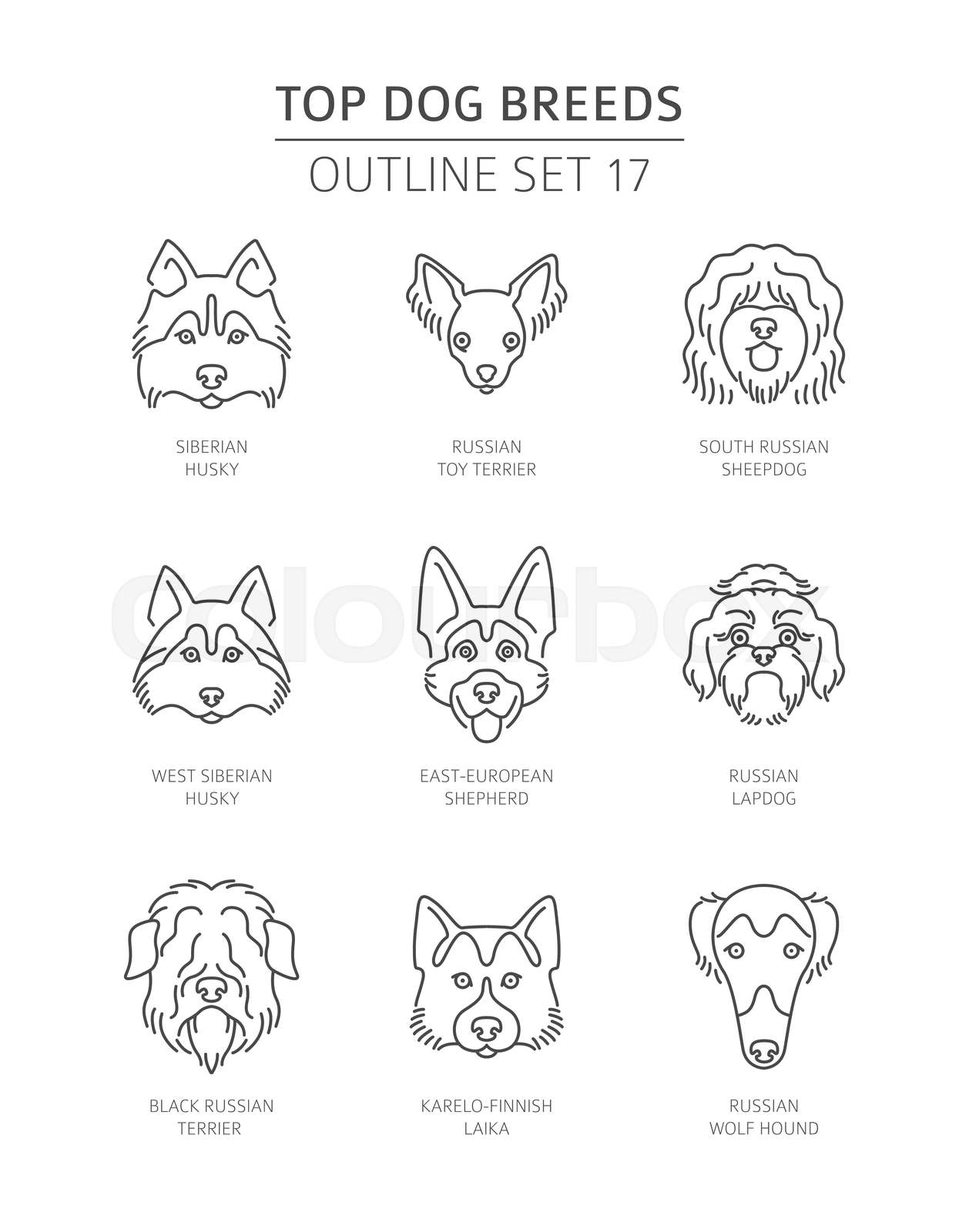 perro, lineal, contorno | Vector de archivo | Colourbox