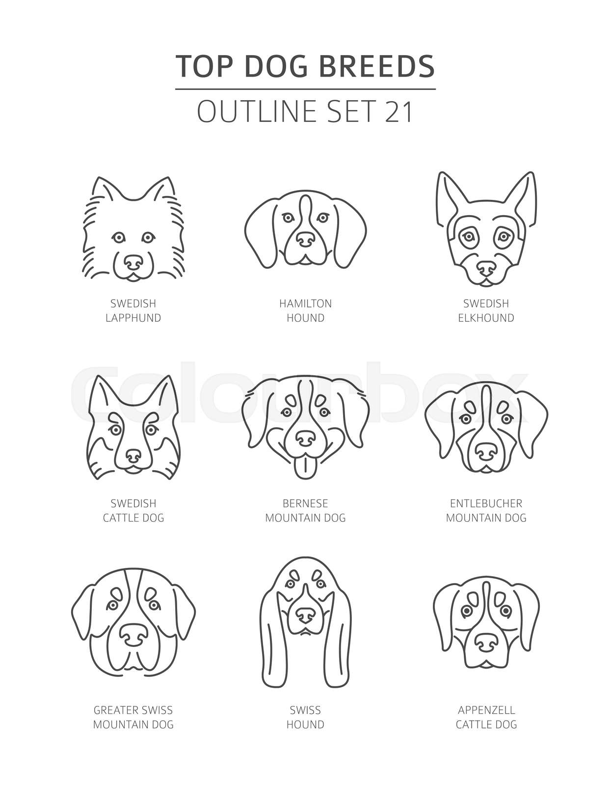 Top dog breeds. Pet outline collection. Vector illustration | Stock ...