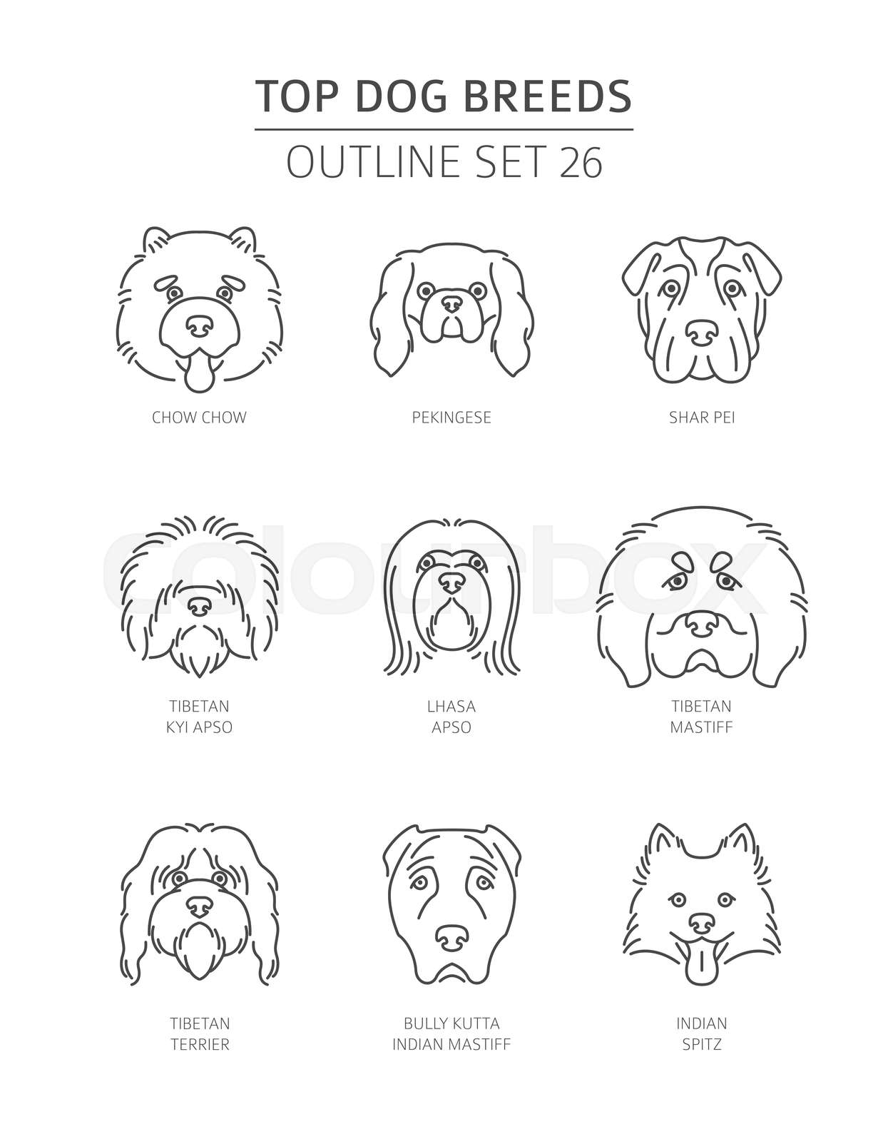 Top dog breeds. Pet outline collection. Vector illustration | Stock ...