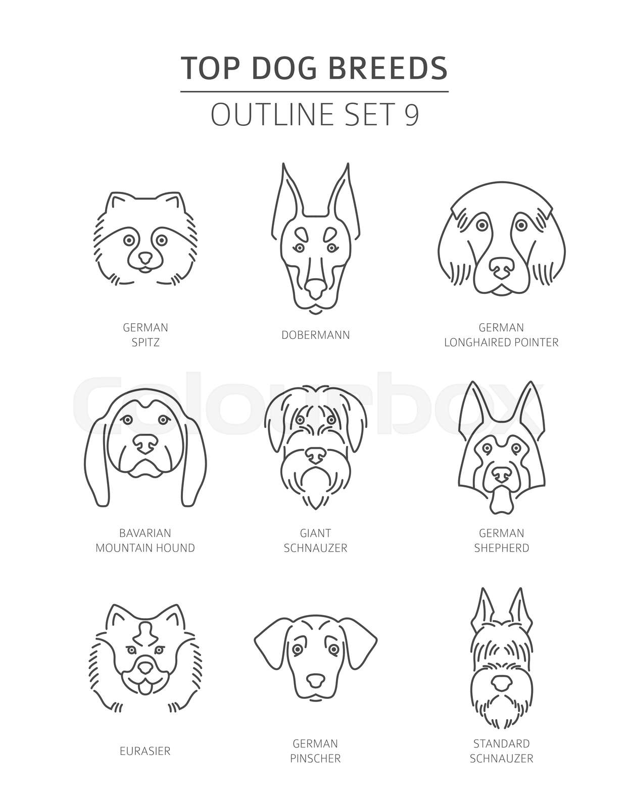 Top dog breeds. Pet outline collection. Vector illustration | Stock ...