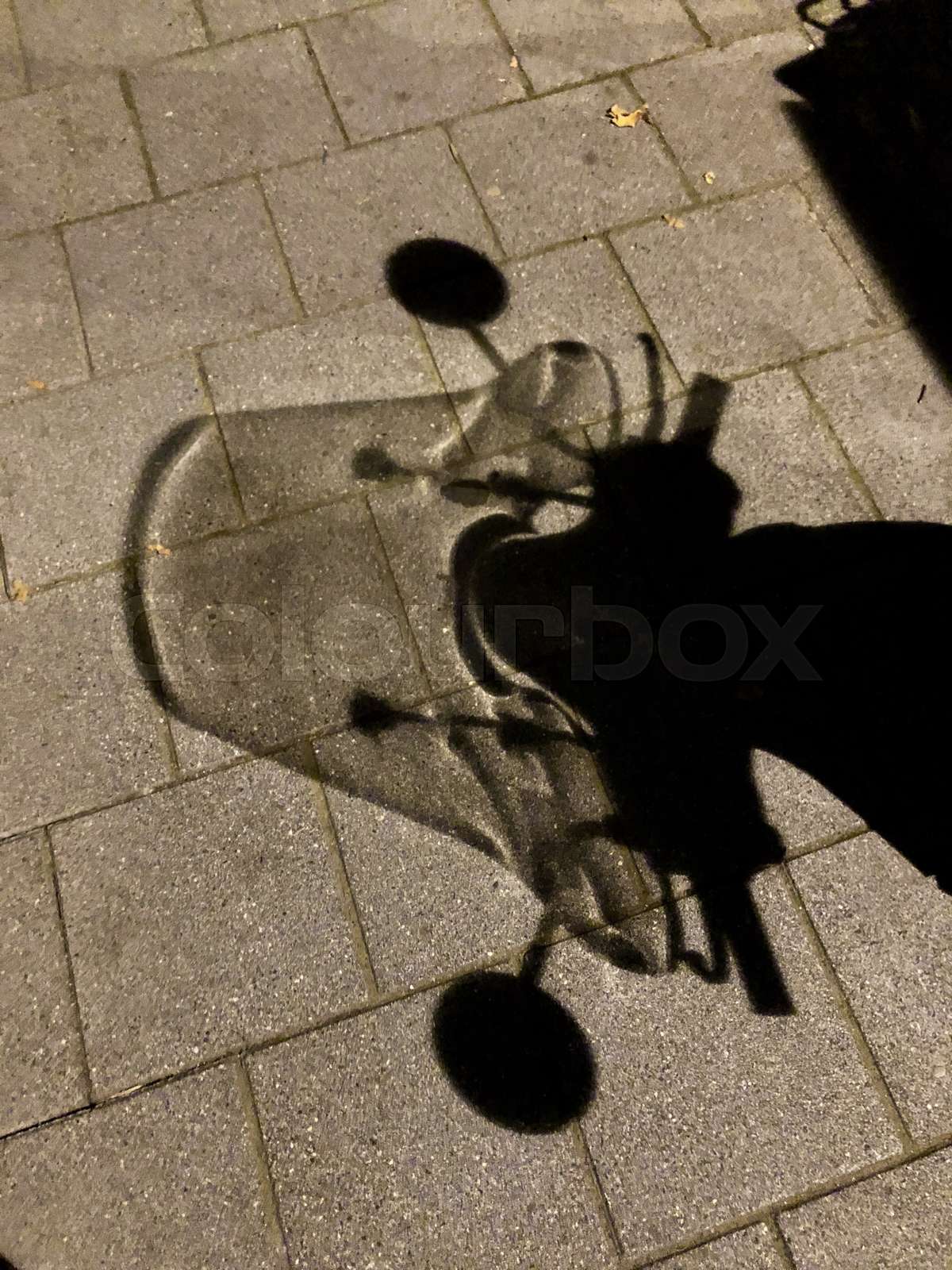 motorcycle shadow at night | Stock image | Colourbox