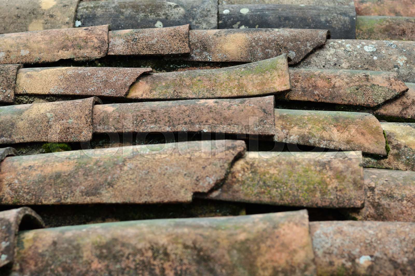 close up of moldy roof tiles | Stock image | Colourbox