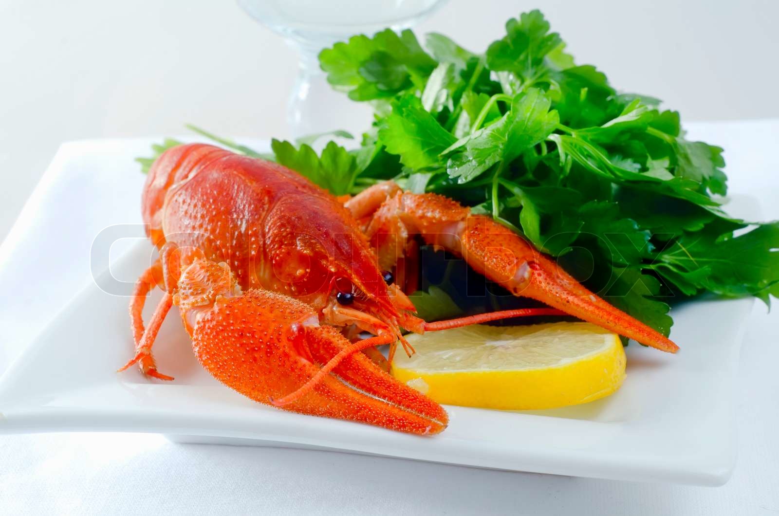 hummer, limone, essen | Stock Bild | Colourbox