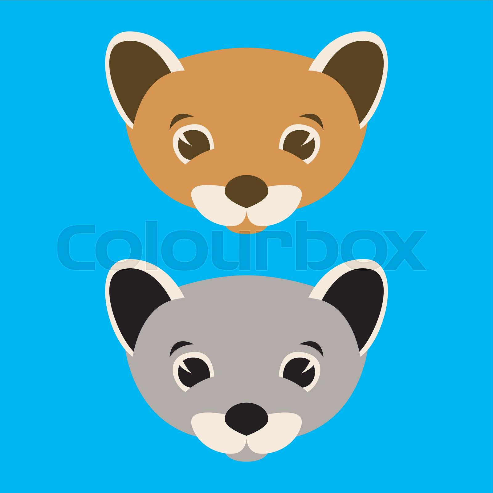 cartoon weasel face vector illustration | Stock vector | Colourbox