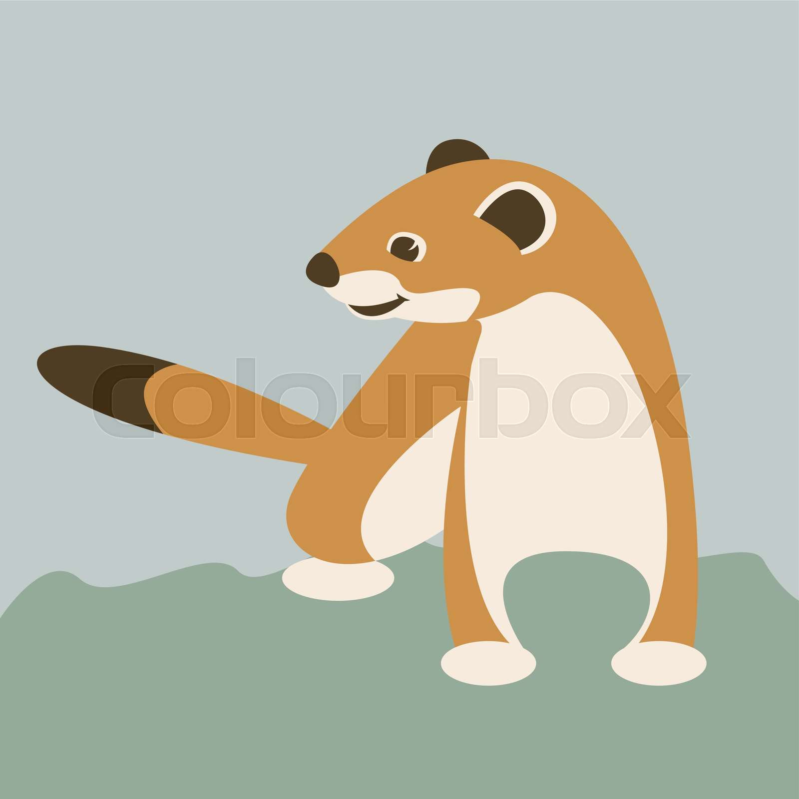 cartoon weasel vector illustration flat style | Stock vector | Colourbox
