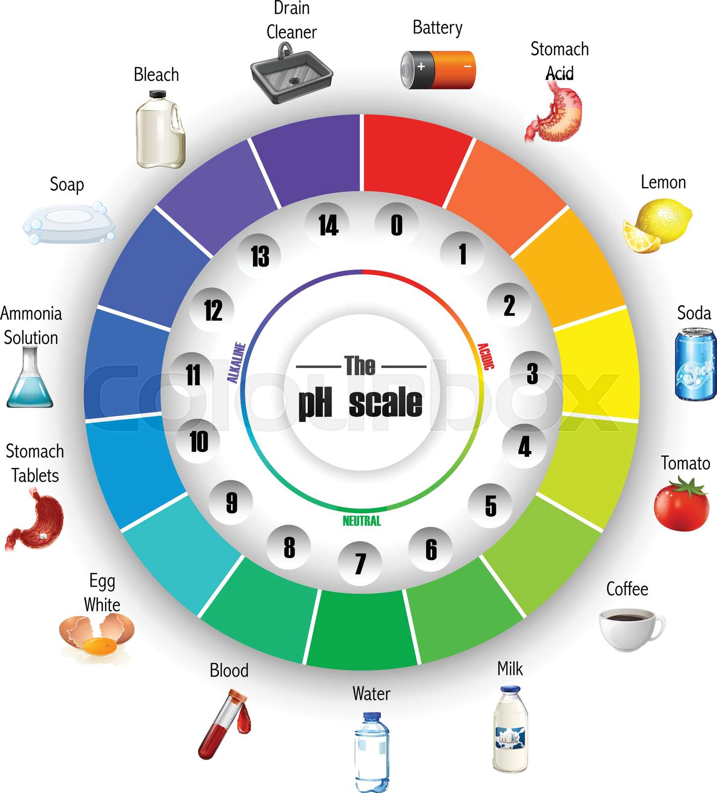 The ph scale wheel | Stock vector | Colourbox