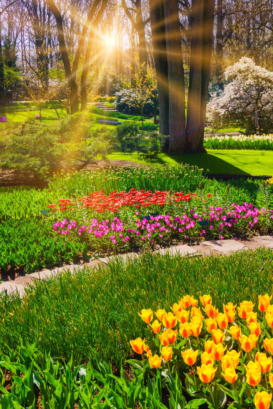 Beautiful garden. Park in The Spring. Spring landscape. | Stock image ...