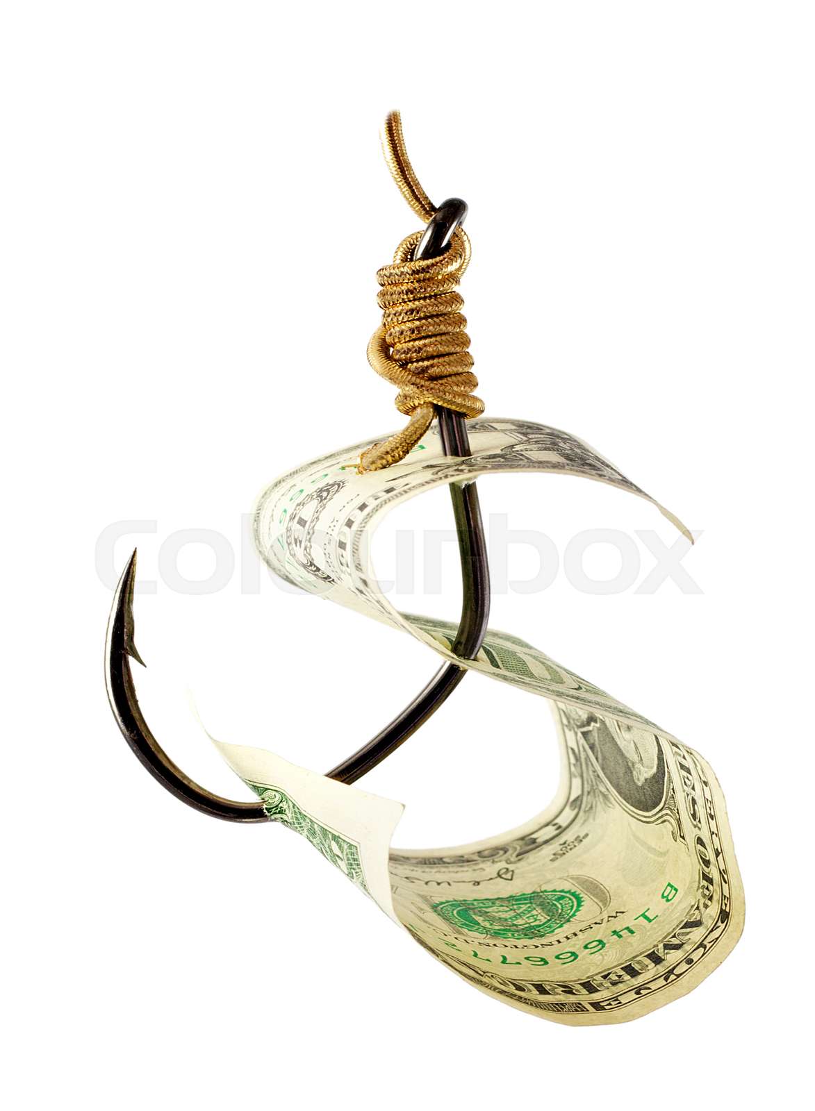 dollars on fishing hook isolated | Stock image | Colourbox