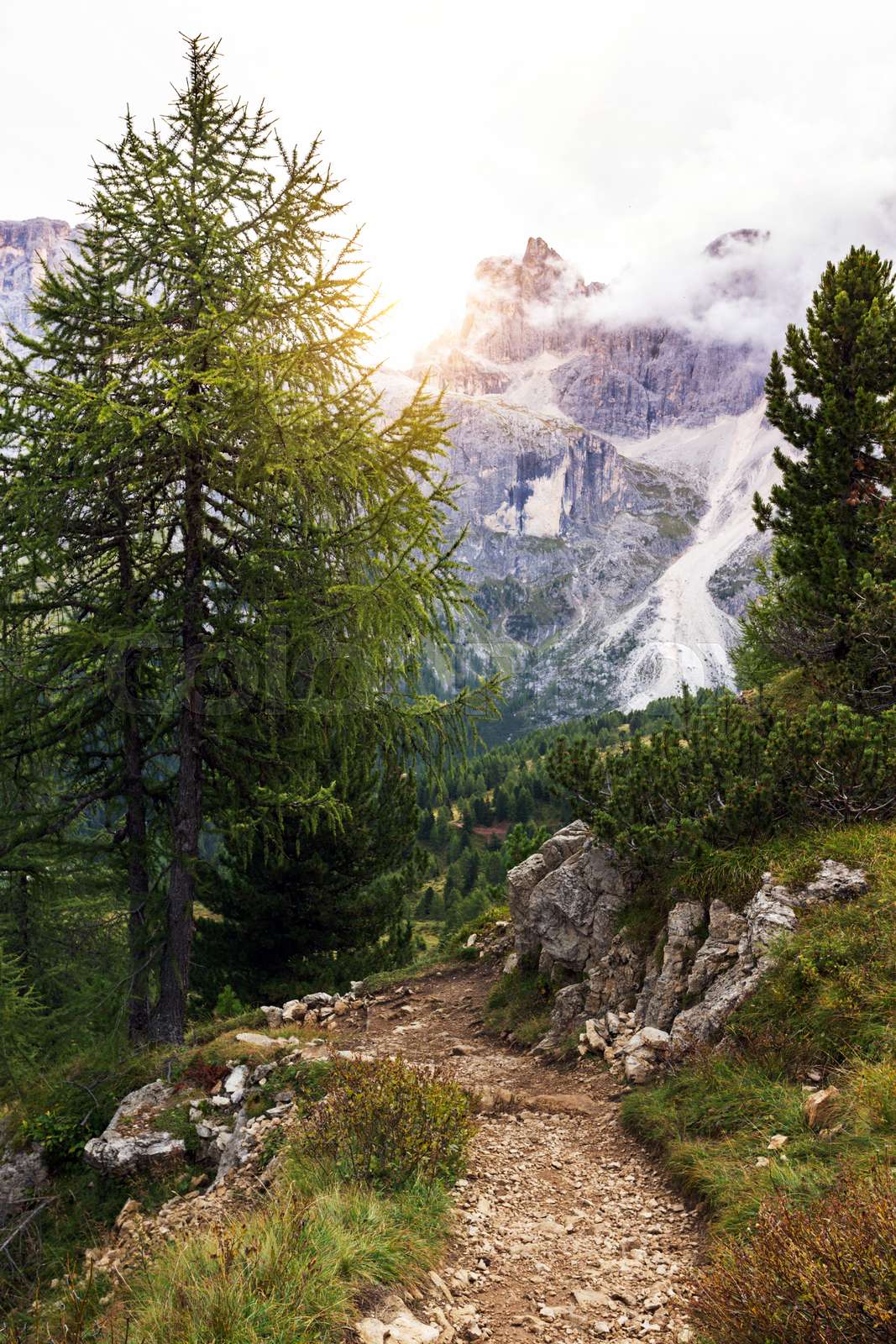 hiking trail in the mountains | Stock image | Colourbox